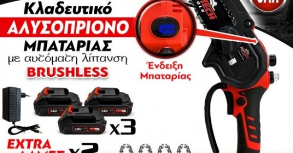 Kλαδευτικό Αλυσοπρίονο Επαναφορτιζόμενο Με Λίπανση και 3 Μπαταρίες 24V ...